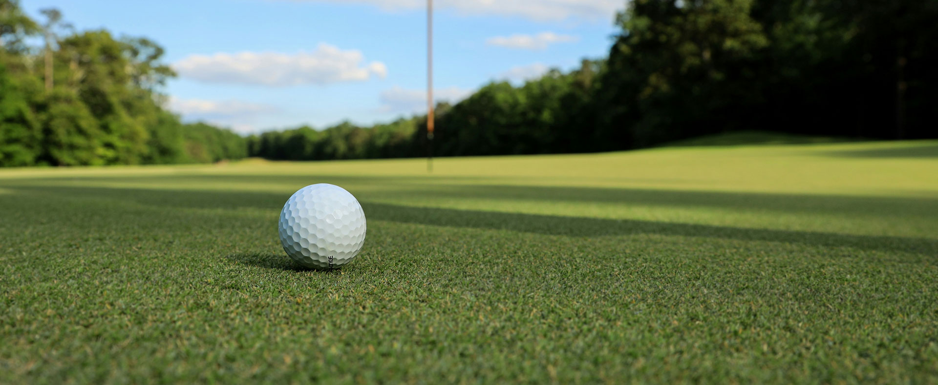 Home - Cornwall Golfers Alliance